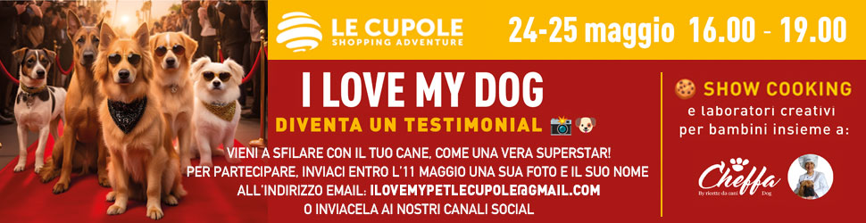 Action apre il suo ventunesimo store in Italia: nuova apertura a San Giuliano Milanese ...